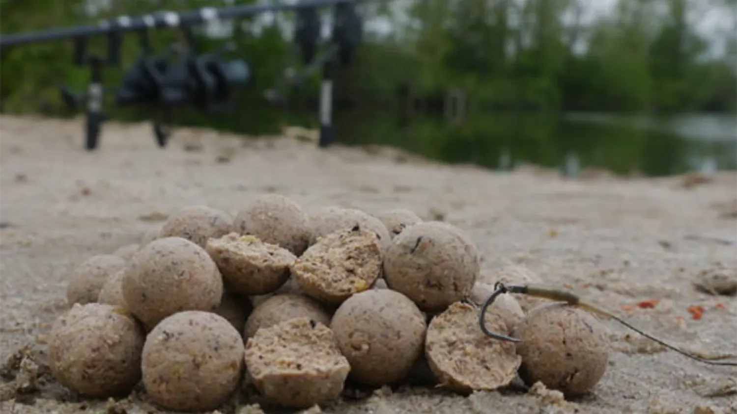 All In mit den MC Squid & Liver Boilies von Aquatic Baits | CARPZILLA ...