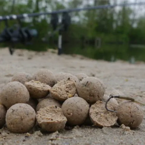 All In mit den MC Squid & Liver Boilies von Aquatic Baits | CARPZILLA ...