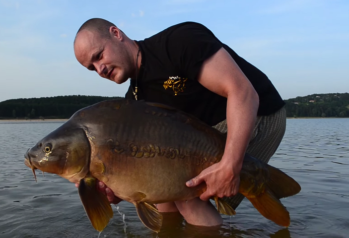 Chris Ackermann kann auch Video: Chaostour im neuesten Clip | CARPZILLA ...