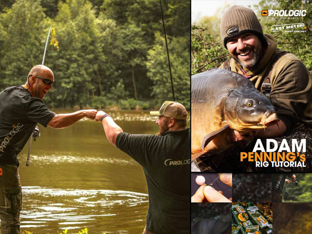 Mit vielen Tipps und Tricks: Prologic verschenkt Adam Pennings Rig-Guide | CARPZILLA - Dein ...