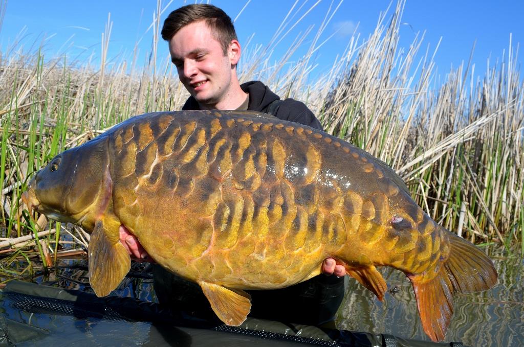 The fully of a lifetime... | CARPZILLA - Dein Karpfen-Portal