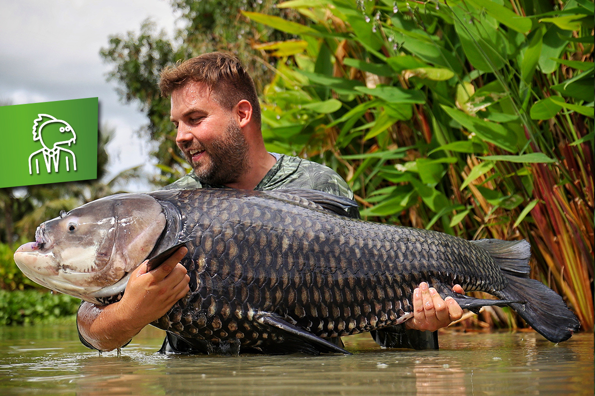 CARPAHOLIC: Erfüllte Träume in Thailand | CARPZILLA - Dein Karpfen-Portal
