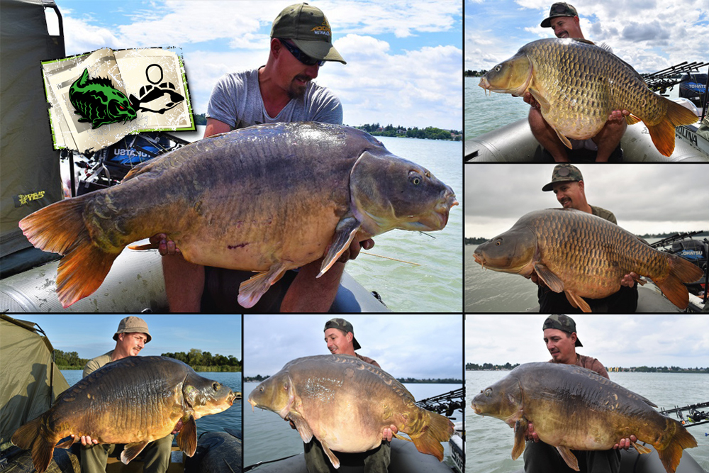 Patrick Haas: Sky ist the Limit - Part 2 | CARPZILLA - Dein Karpfen-Portal