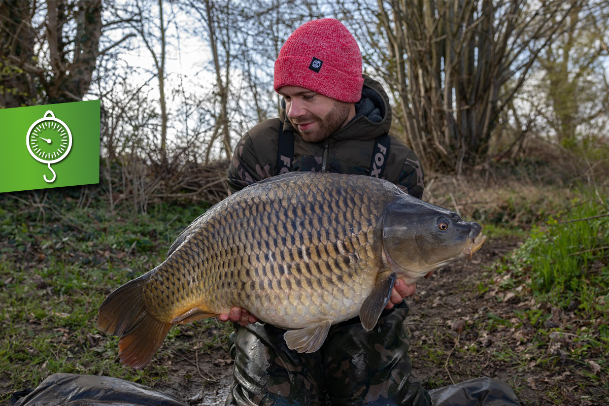 CARP LIFE BALANCE: Der perfekte Start in die neue Saison | CARPZILLA ...