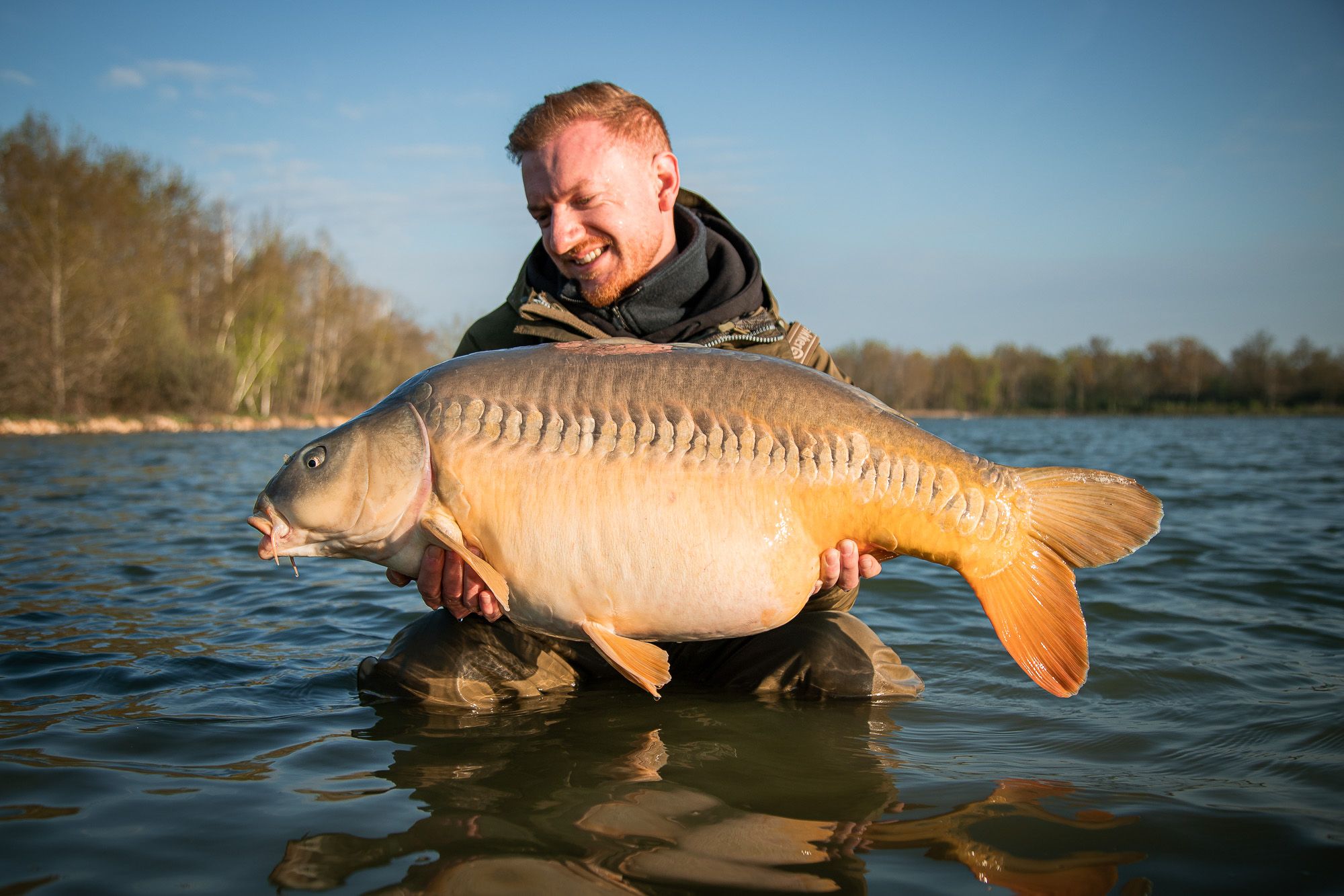 In diesem See schwimmen die schönsten Zeilenkarpfen Europas! | CARPZILLA - Dein Karpfen-Portal