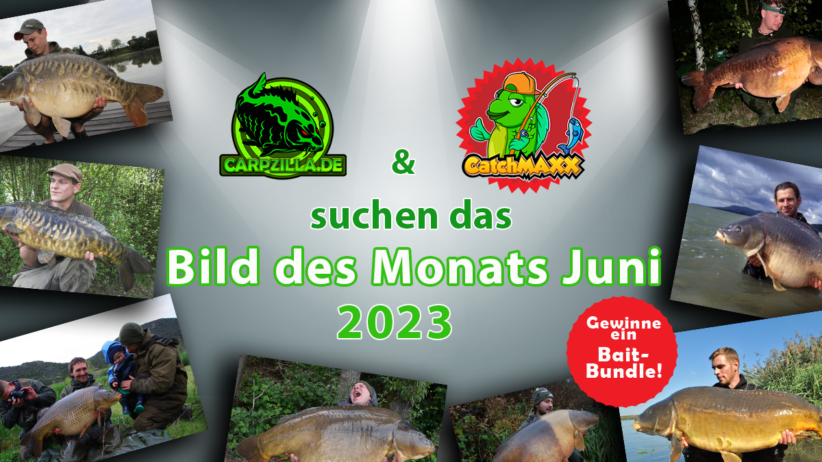 Bild des Monats Juni 2023: Die Top 10! | CARPZILLA - Dein Karpfen-Portal