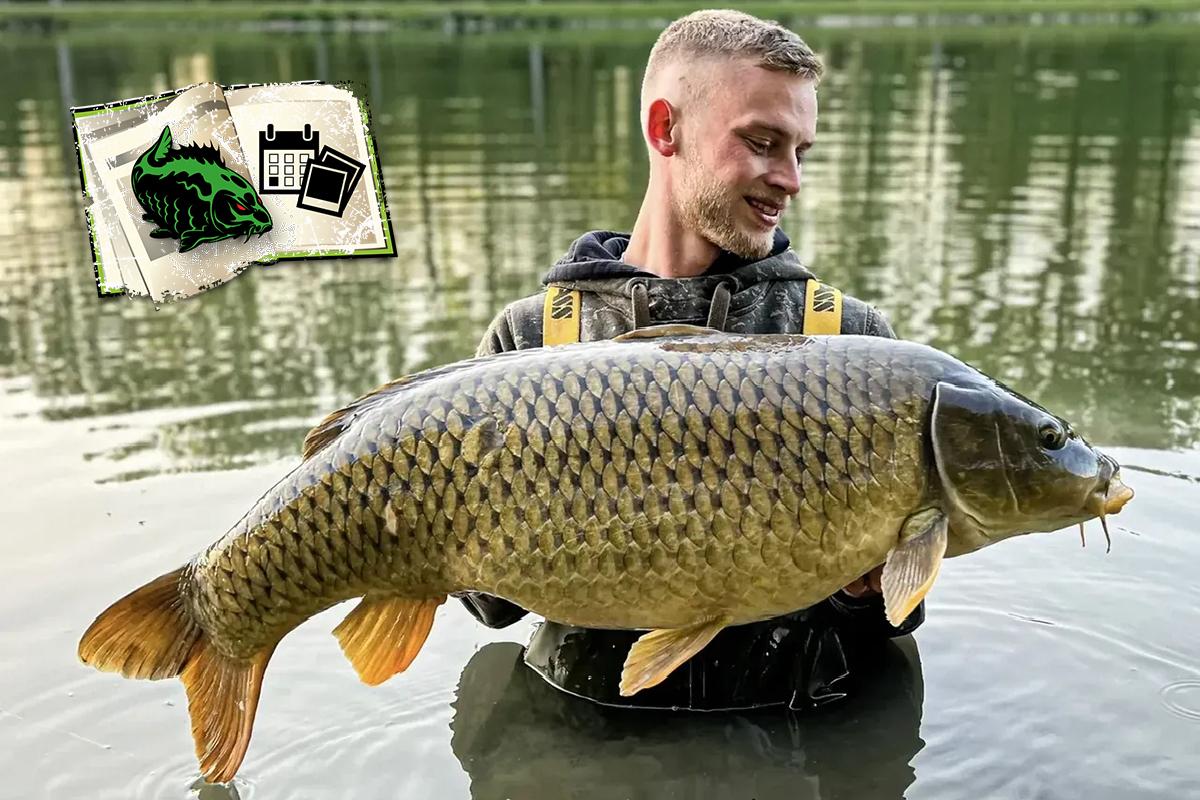 Bild des Monats Juni 2023: Die Gewinner! | CARPZILLA - Dein Karpfen-Portal
