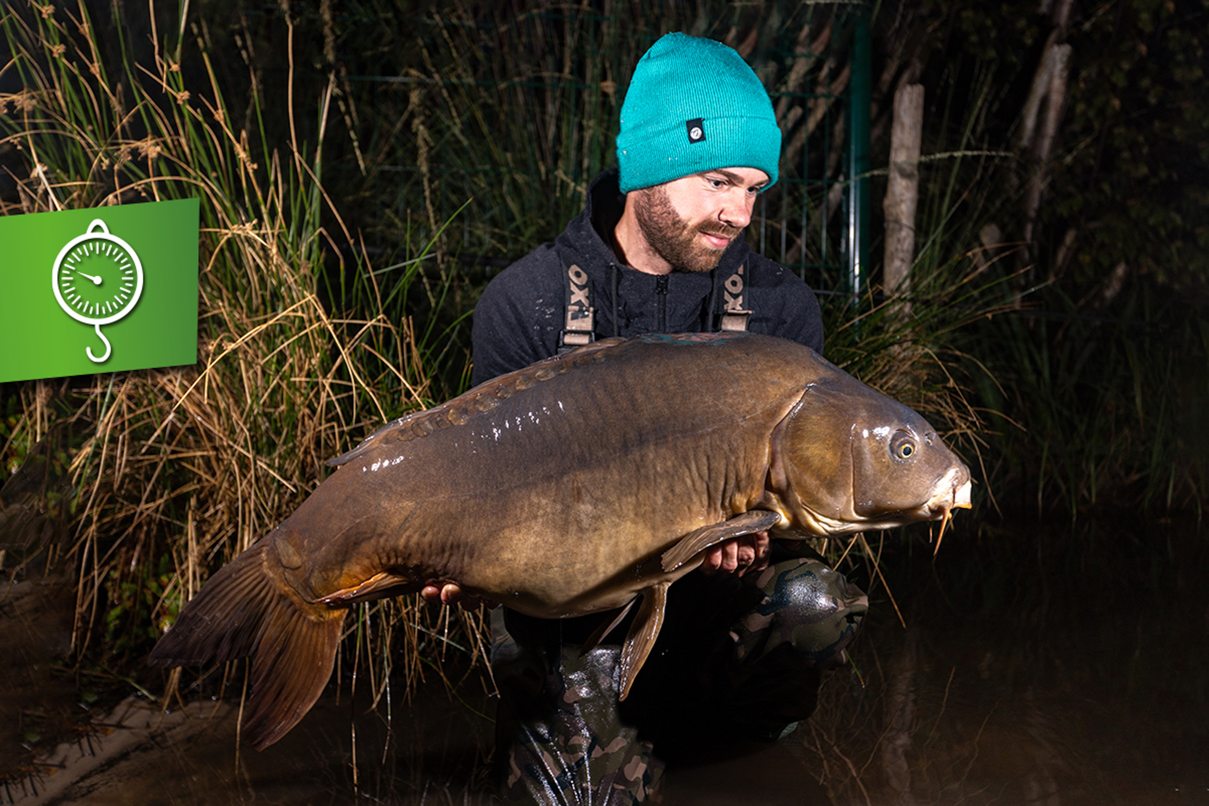 CARP LIFE BALANCE: Fangrausch beim Zwischenstopp | CARPZILLA - Dein ...