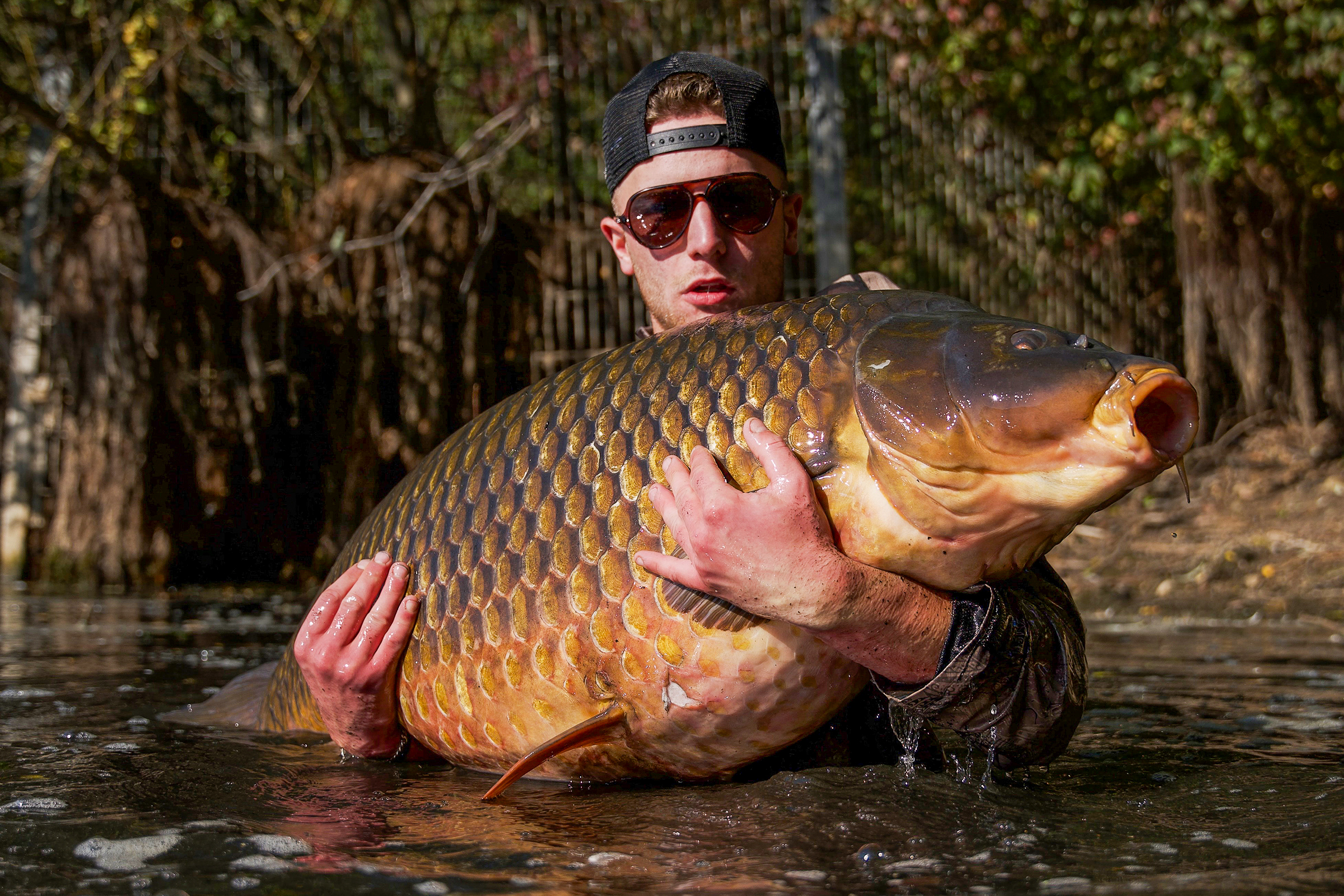 43,5 Kilo - Neuer deutscher Karpfen-Rekord! Moritz Sasse fängt größten ...