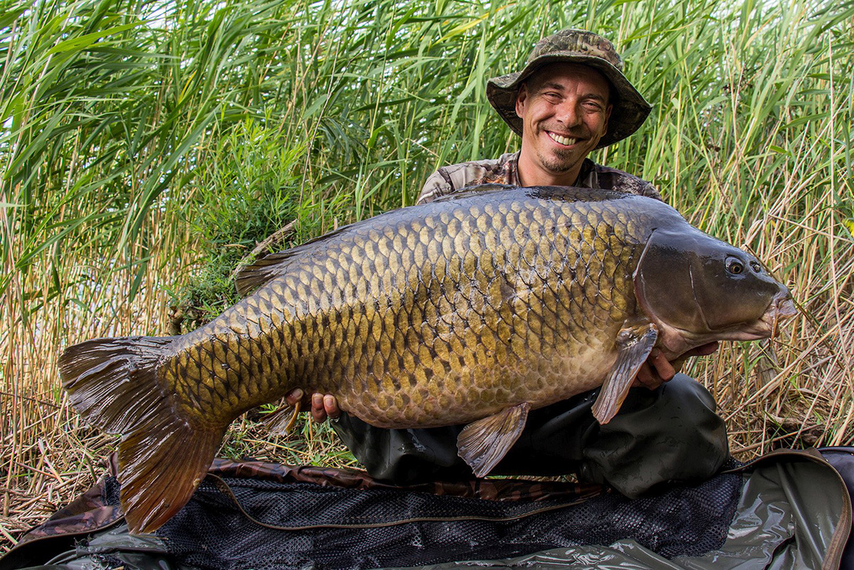 Schottergrube Hollywood lebt - Alex Hager ist zurück! | CARPZILLA ...